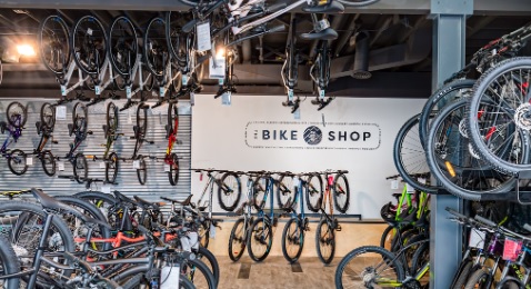 Bike Shop Manager Cover Letter Sample - CLR