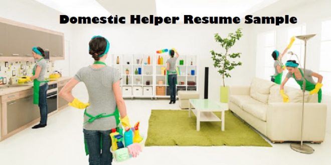 Domestic Helper Resume Sample and Template - CLR