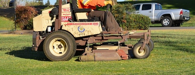 5 Groundskeeper Interview Questions and Answers - CLR