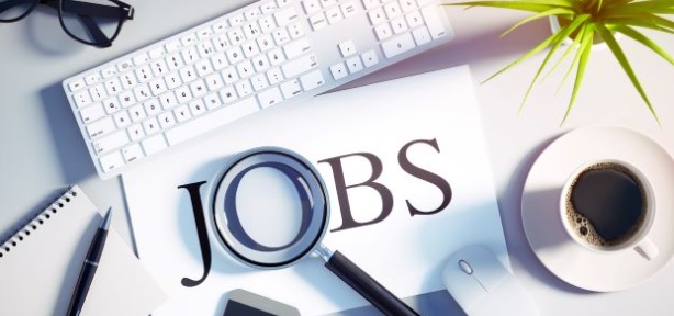 Statement of Interest for a Job (Template and 6 Samples) - CLR