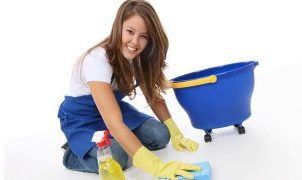 Domestic Maid Job Description and Duties for Resume - CLR