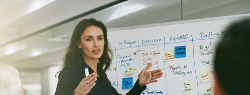 Top 10 Project Manager Resume Summary Examples - CLR